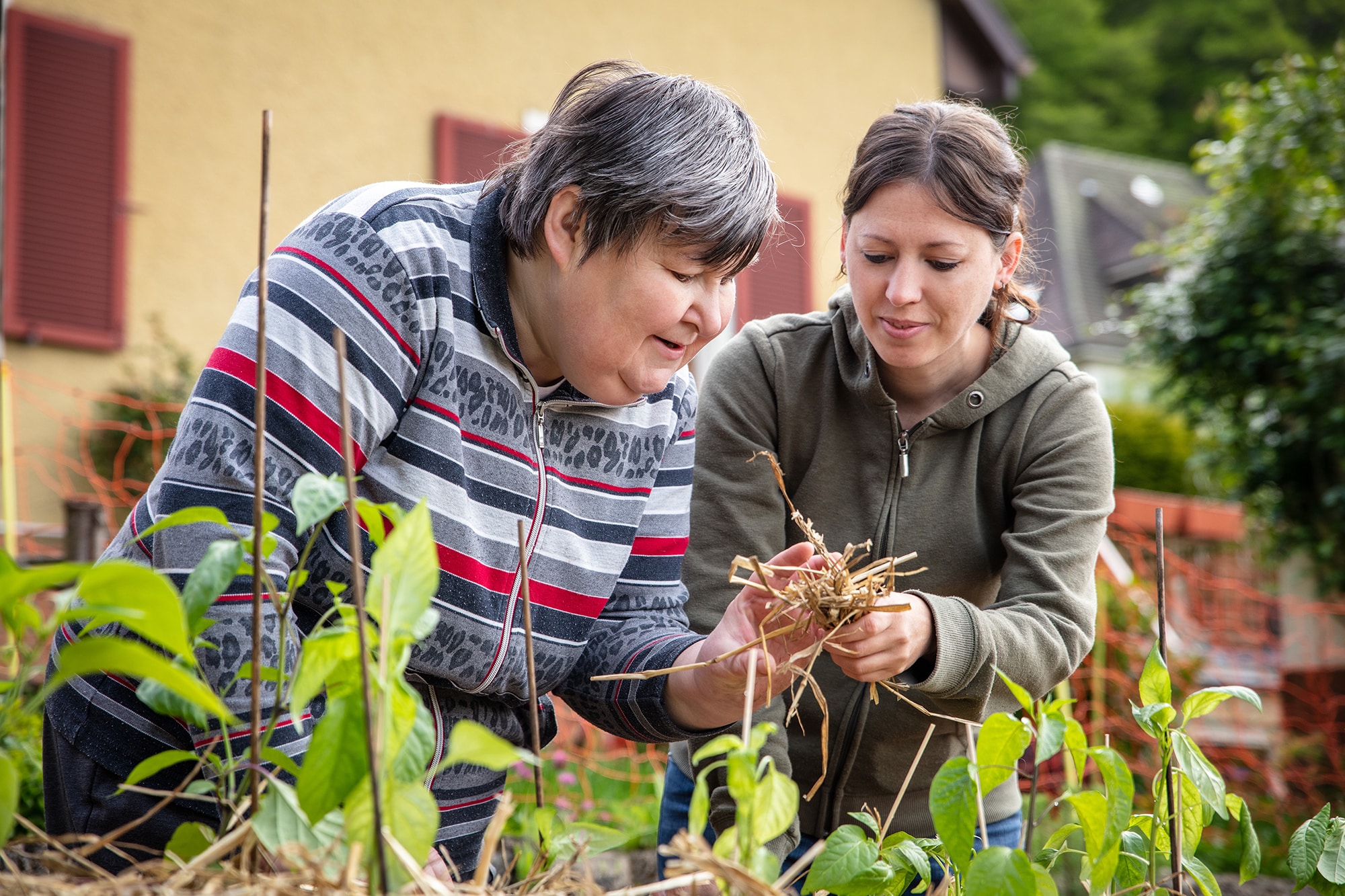 Adult IDD Programs in Colorado - RiseUP!